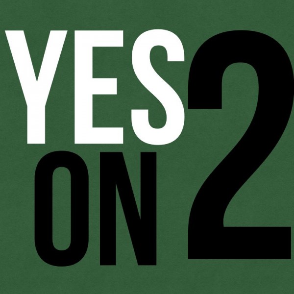 Amendment 2: Why I'm Voting Yes #YesOn2