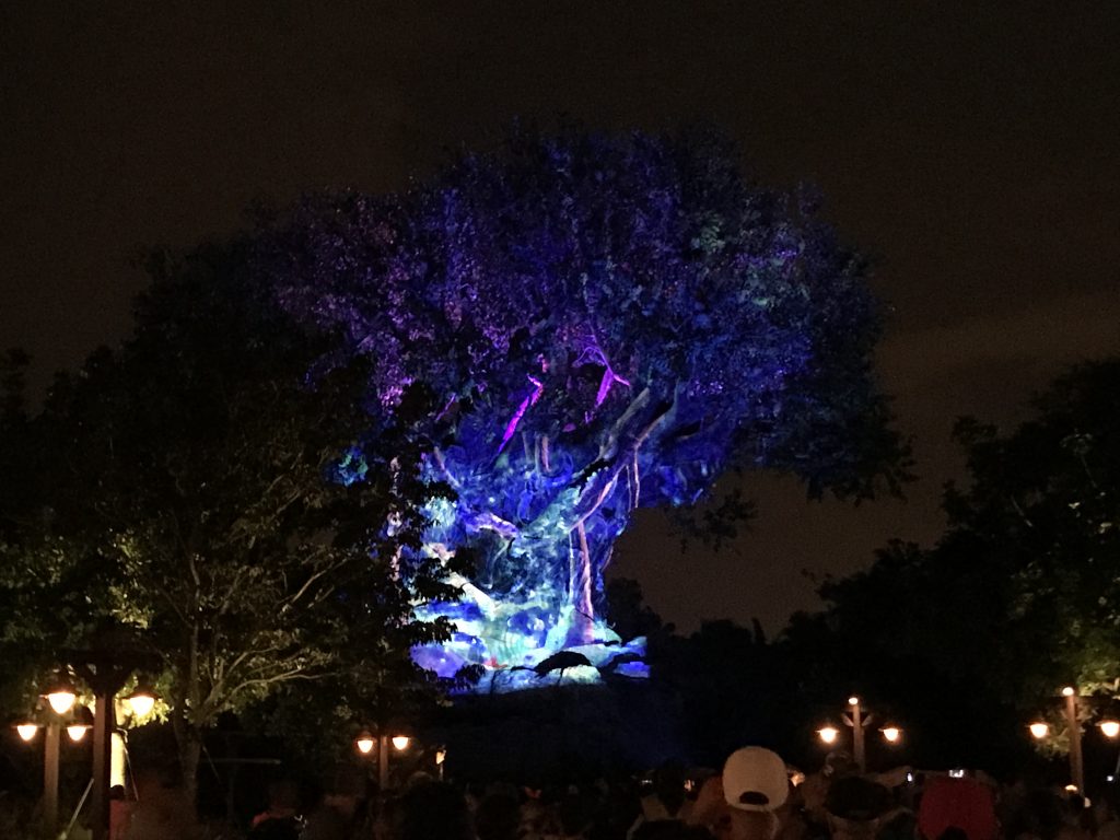 Disney's Animal Kingdom From Day to Night unique attractions after sunset