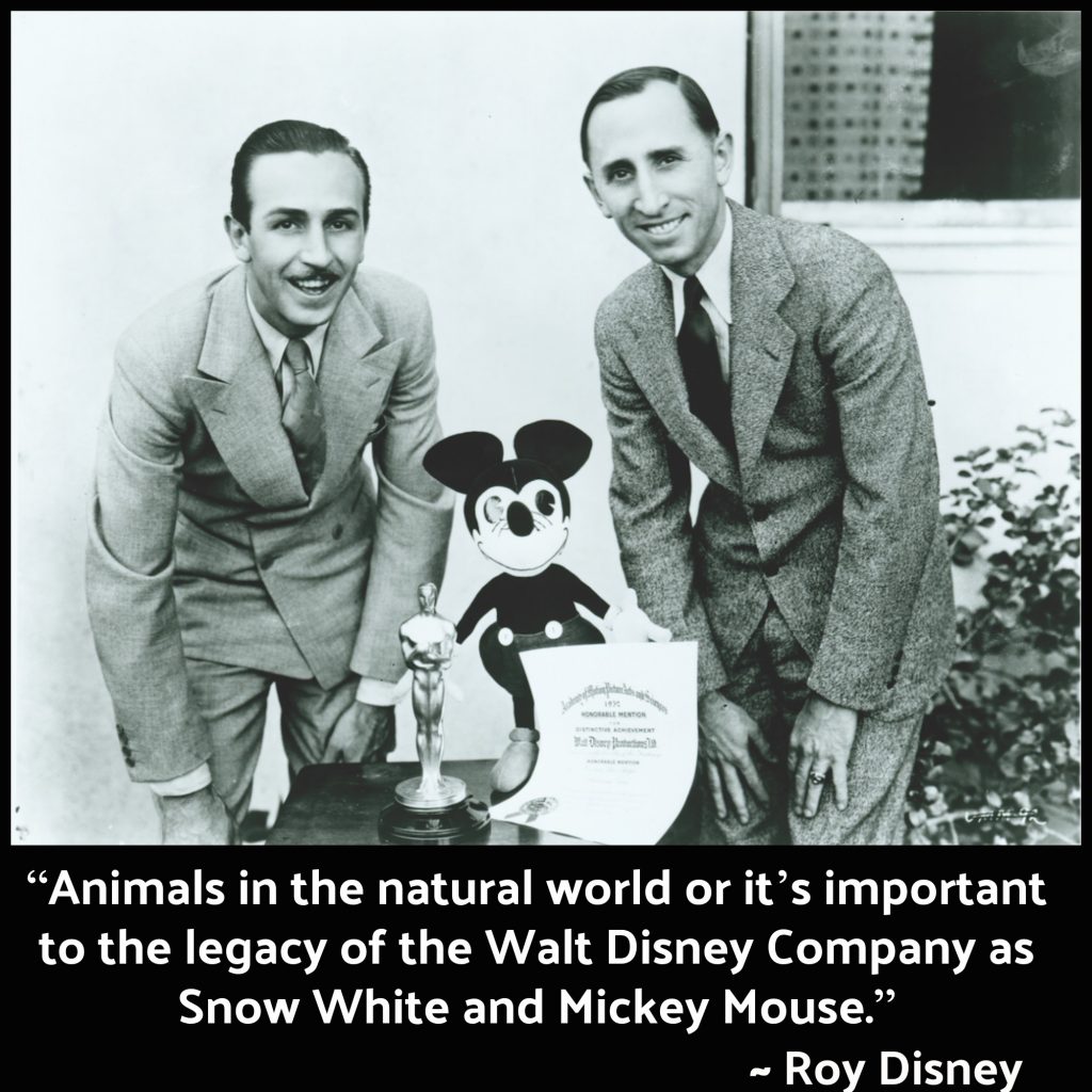 Dr. Anne Savage, Conservation Director for Disney's Animals tells stories