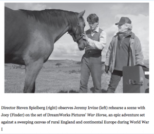 Animal Stars: Behind the Scenes with Your Favorite Animal Actors