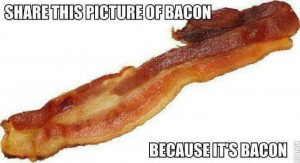 For the Love of Bacon - Trippin With Tara