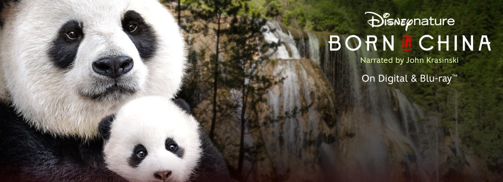 Born in China Bonus Features behind the scenes with panda bears